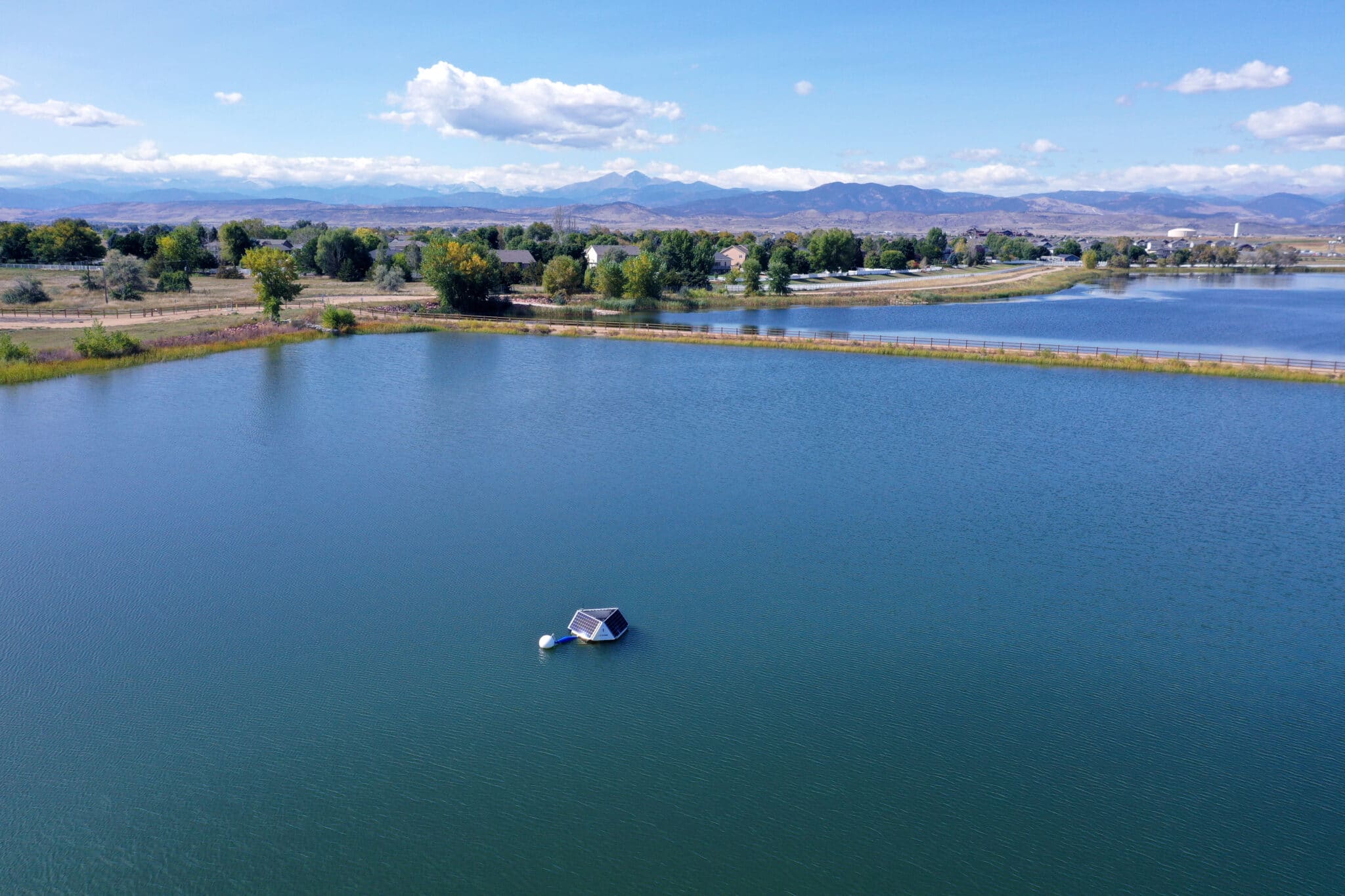 How Algae Threaten the Food Industry