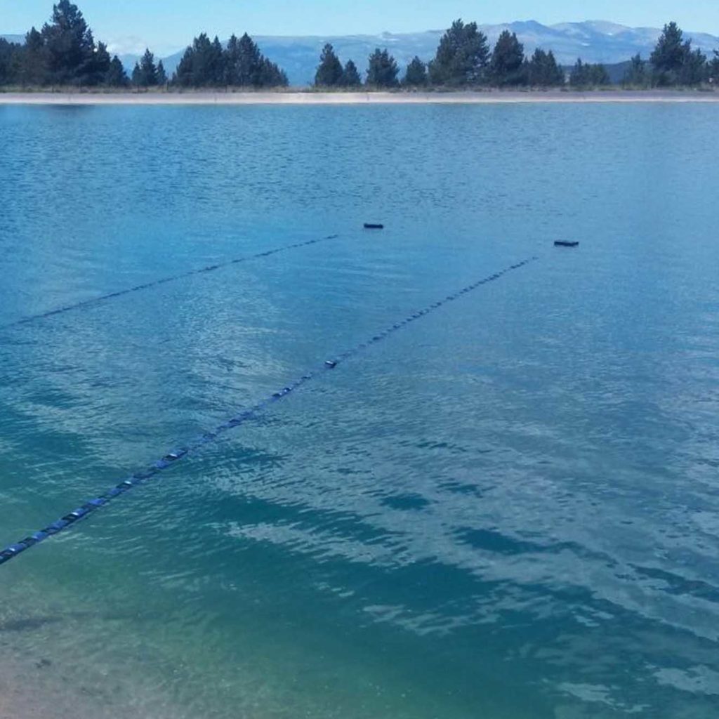 How To Choose The Right Algae Treatment - LG Sonic