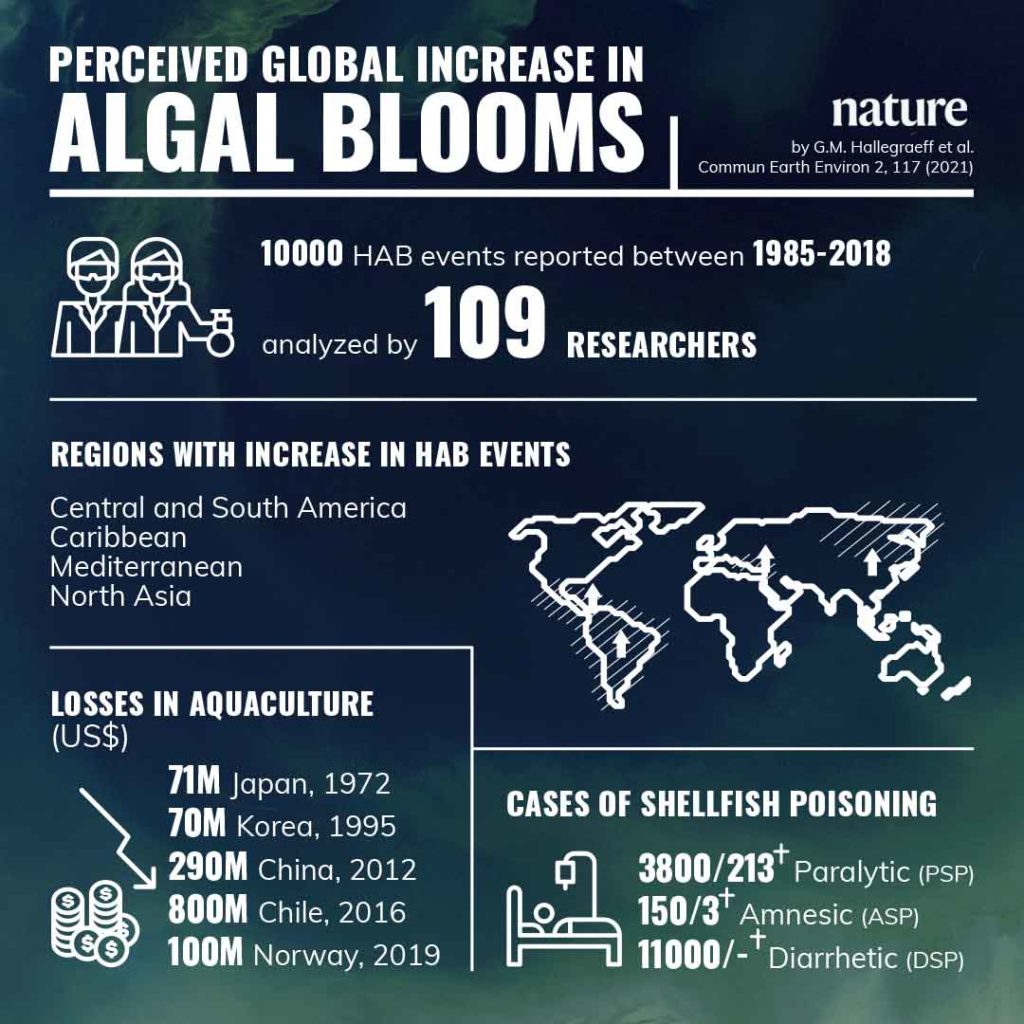 UN Report: Algal Blooms To Become More Severe - LG Sonic