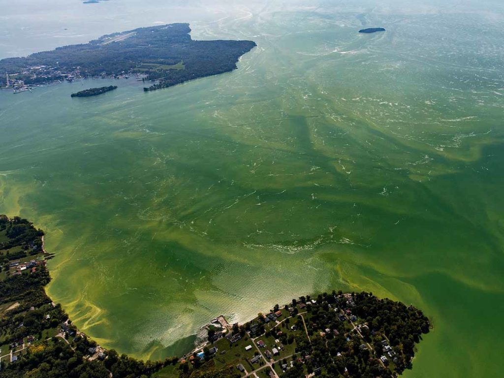Mapping Freshwater Algal Blooms with Remote Sensing - LG Sonic